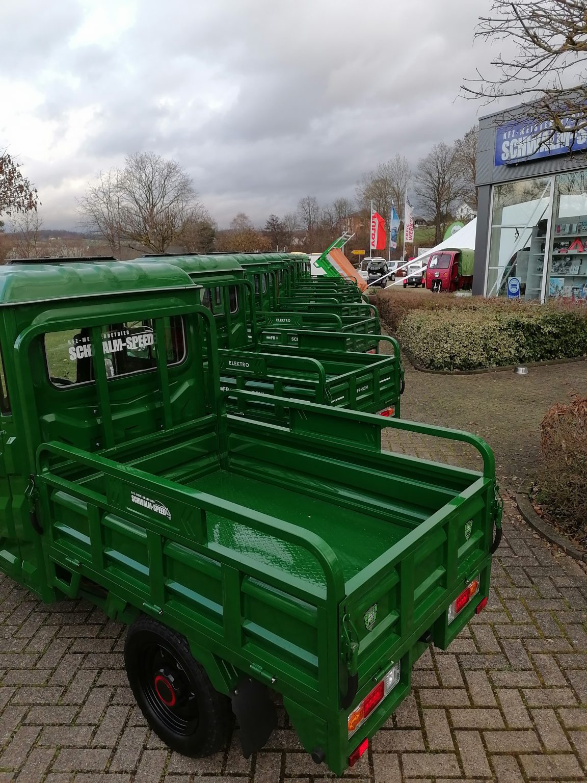 3-Rad Grand Extra Kipper Pritsche Elektro Frosch NEU ab 07-2024 ...