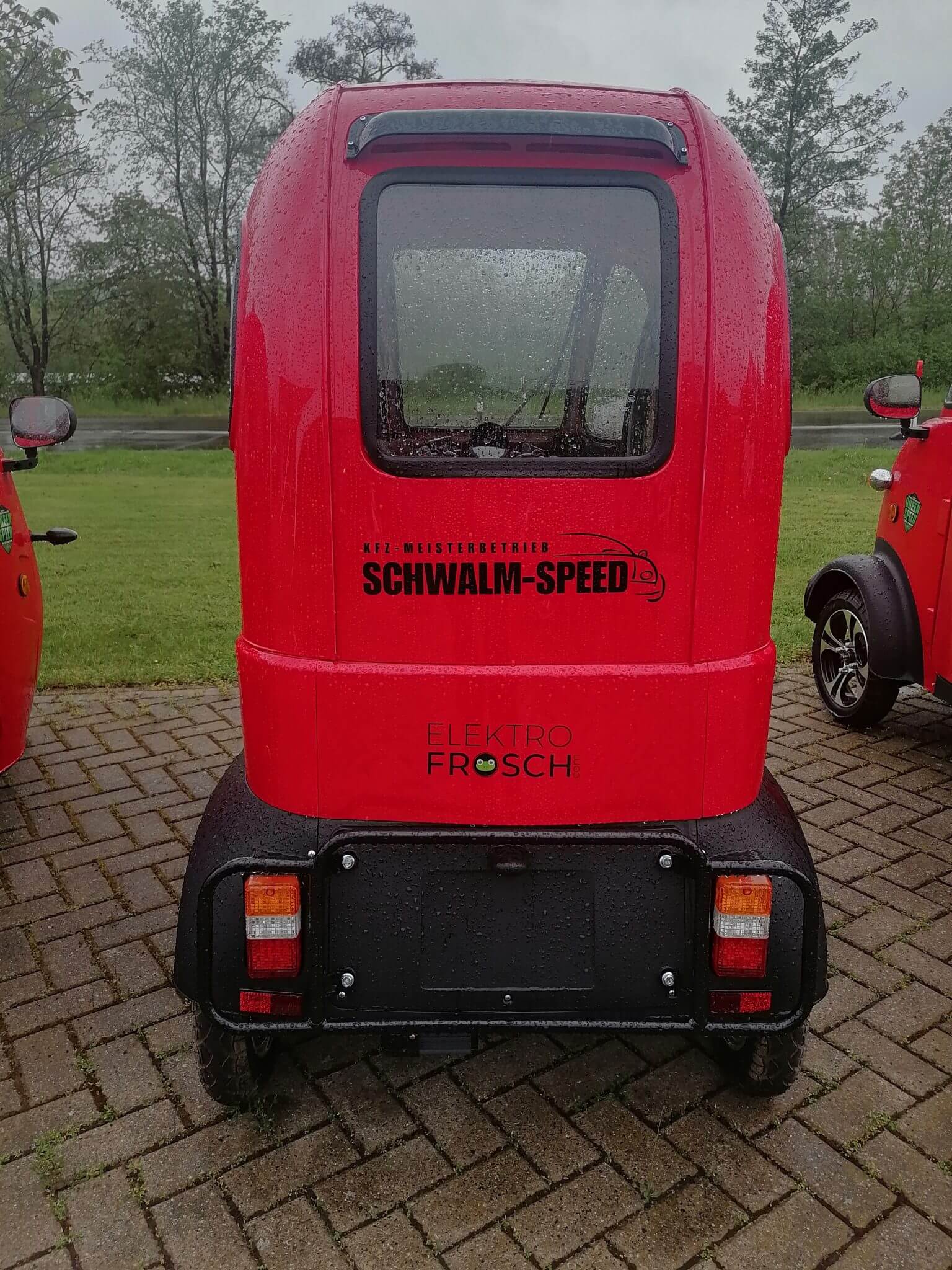 4-Rad E-QUAD Elektro 2 Sitzer Kabinenroller 45km/h Elektrofrosch Frosch ...