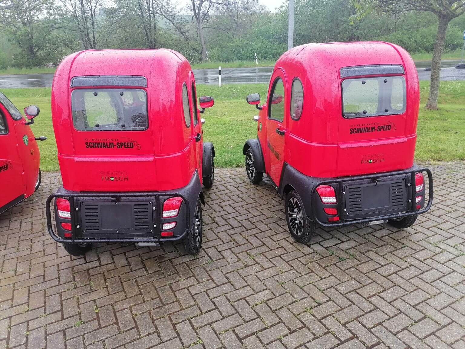 4-Rad E-QUAD Elektro 2 Sitzer Kabinenroller 45km/h Elektrofrosch Frosch ...