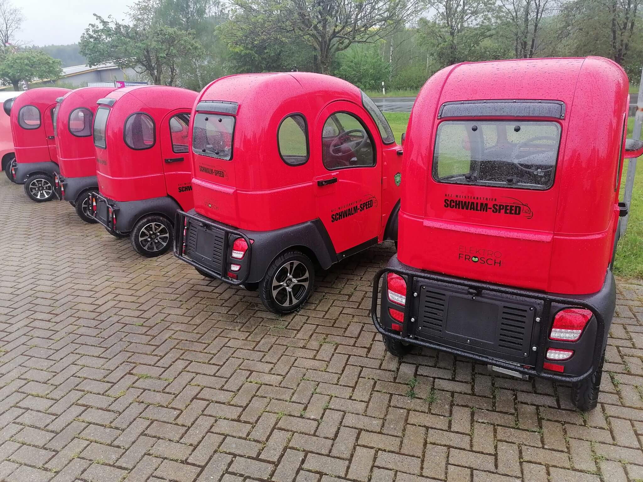 4-Rad E-QUAD Elektro 2 Sitzer Kabinenroller 45km/h Elektrofrosch Frosch ...