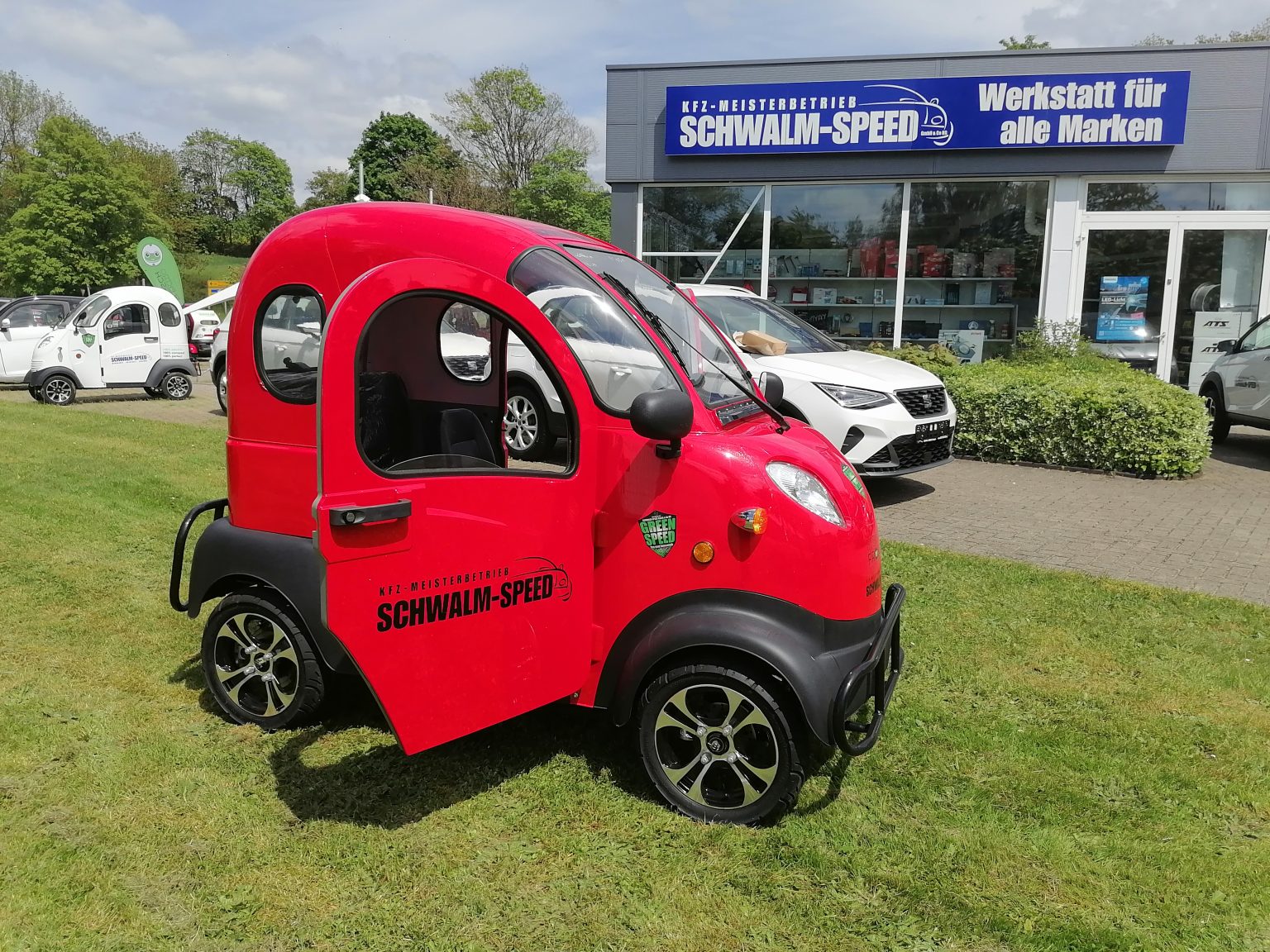 4-Rad E-QUAD Elektro 2 Sitzer Kabinenroller 45km/h Elektrofrosch Frosch ...