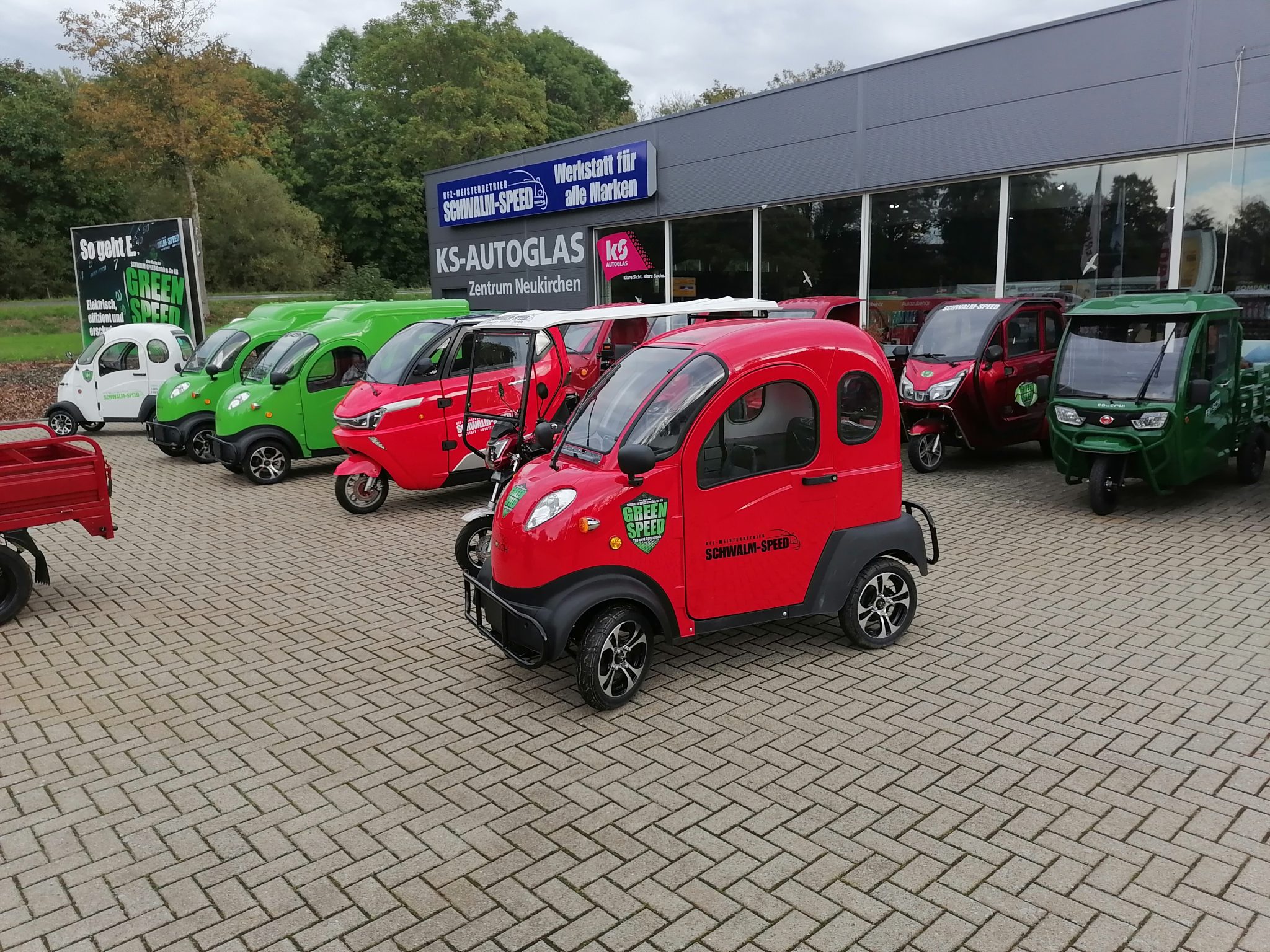 4-Rad E-QUAD Elektro 2 Sitzer Kabinenroller 45km/h Elektrofrosch Frosch ...