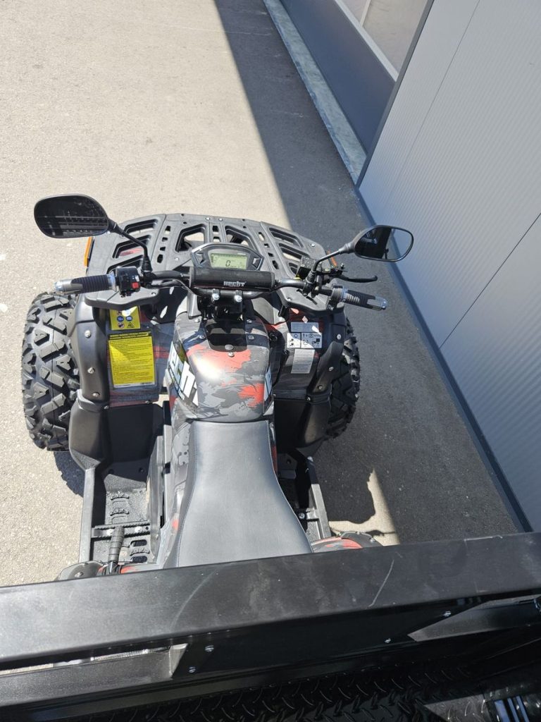 E-Quad FARMER ATV 4X2 Pritsche CARGO Kipper UTV Elektro 45km/h ...