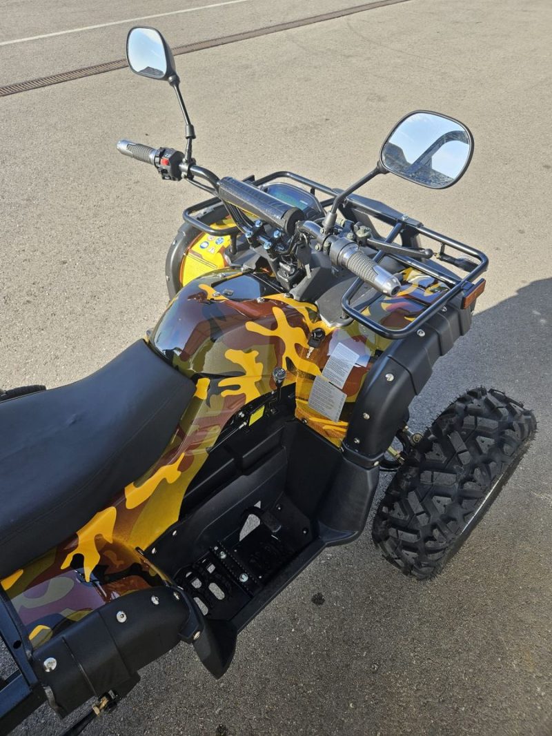 E-Quad FARMER ATV 4X2 Pritsche CARGO Kipper UTV Elektro 45km/h ...