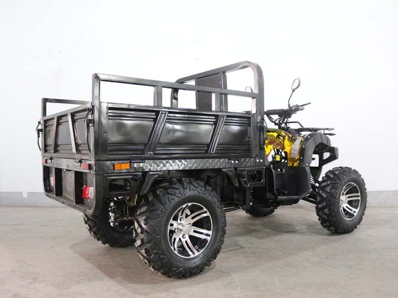 E-Quad FARMER ATV 4X2 Pritsche CARGO Kipper UTV Elektro 45km/h ...